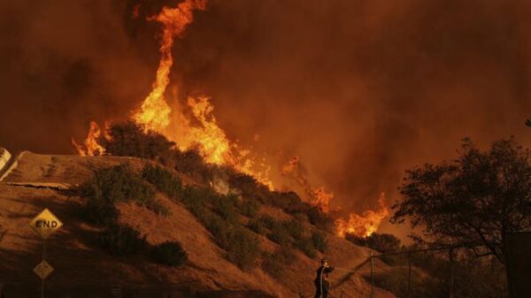 Perspectivas de Aon sobre los incendios forestales de California – El ...